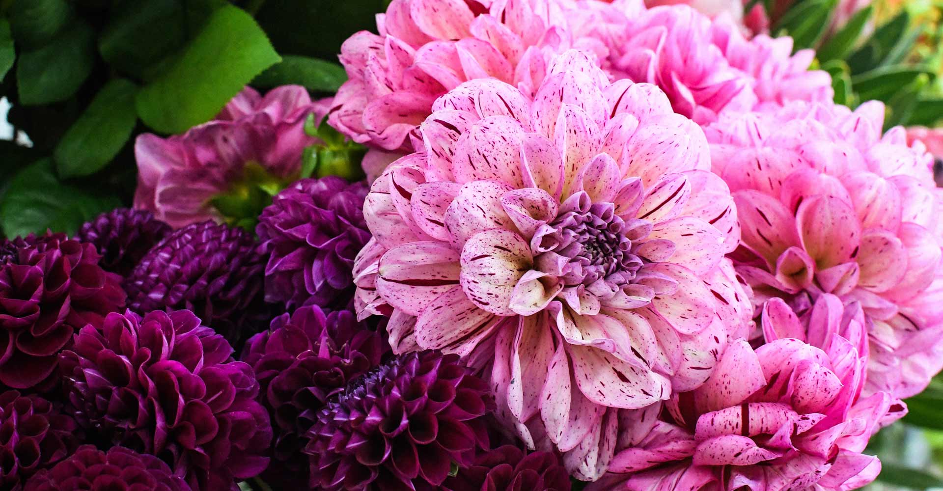 Bendigo Online Florists - The Flower Spot