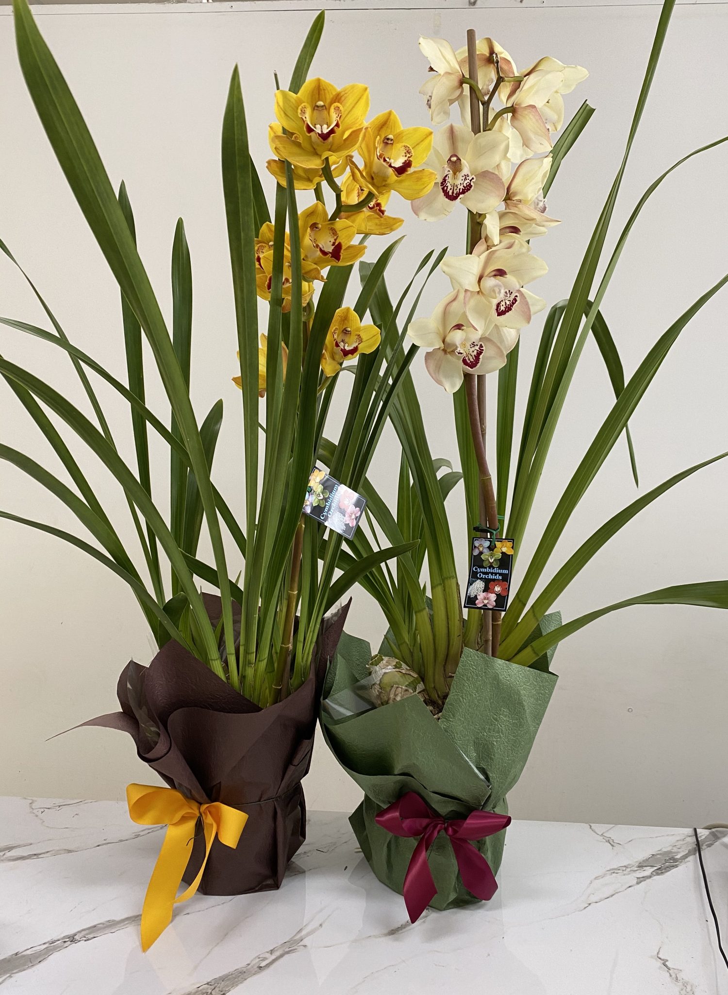 Archives: Shop - The Flower Spot